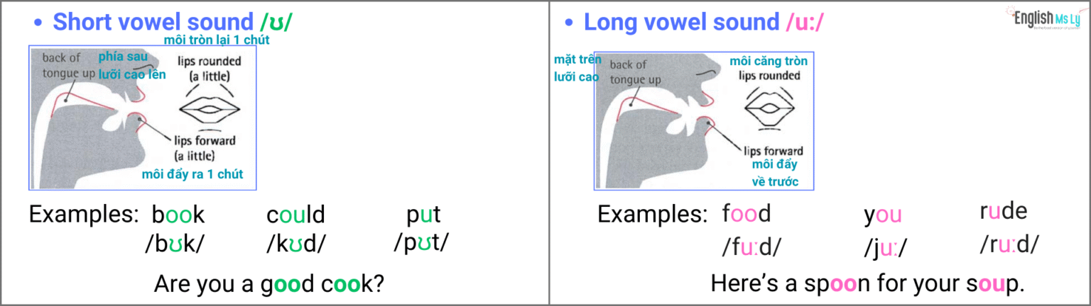 Học bảng IPA - 20 nguyên âm đơn và đôi - 20 english vowel sounds ...
