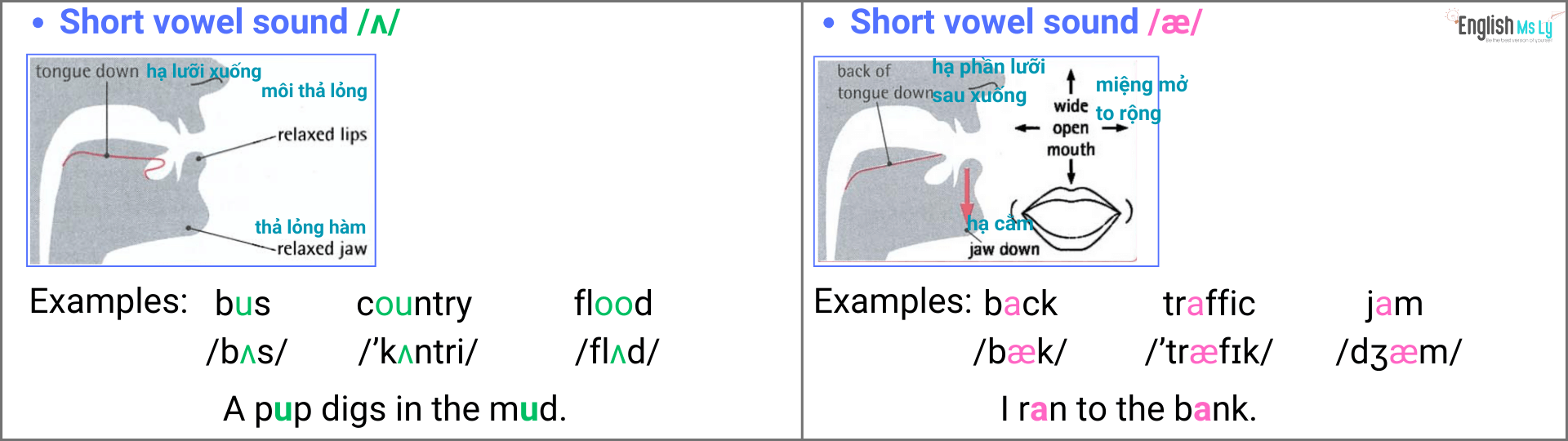 Học bảng IPA - 20 nguyên âm đơn và đôi - 20 english vowel sounds ...